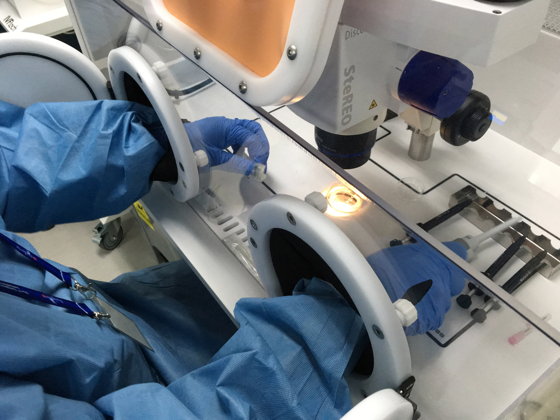 Microscopes for Oocyte Preparation and Quality