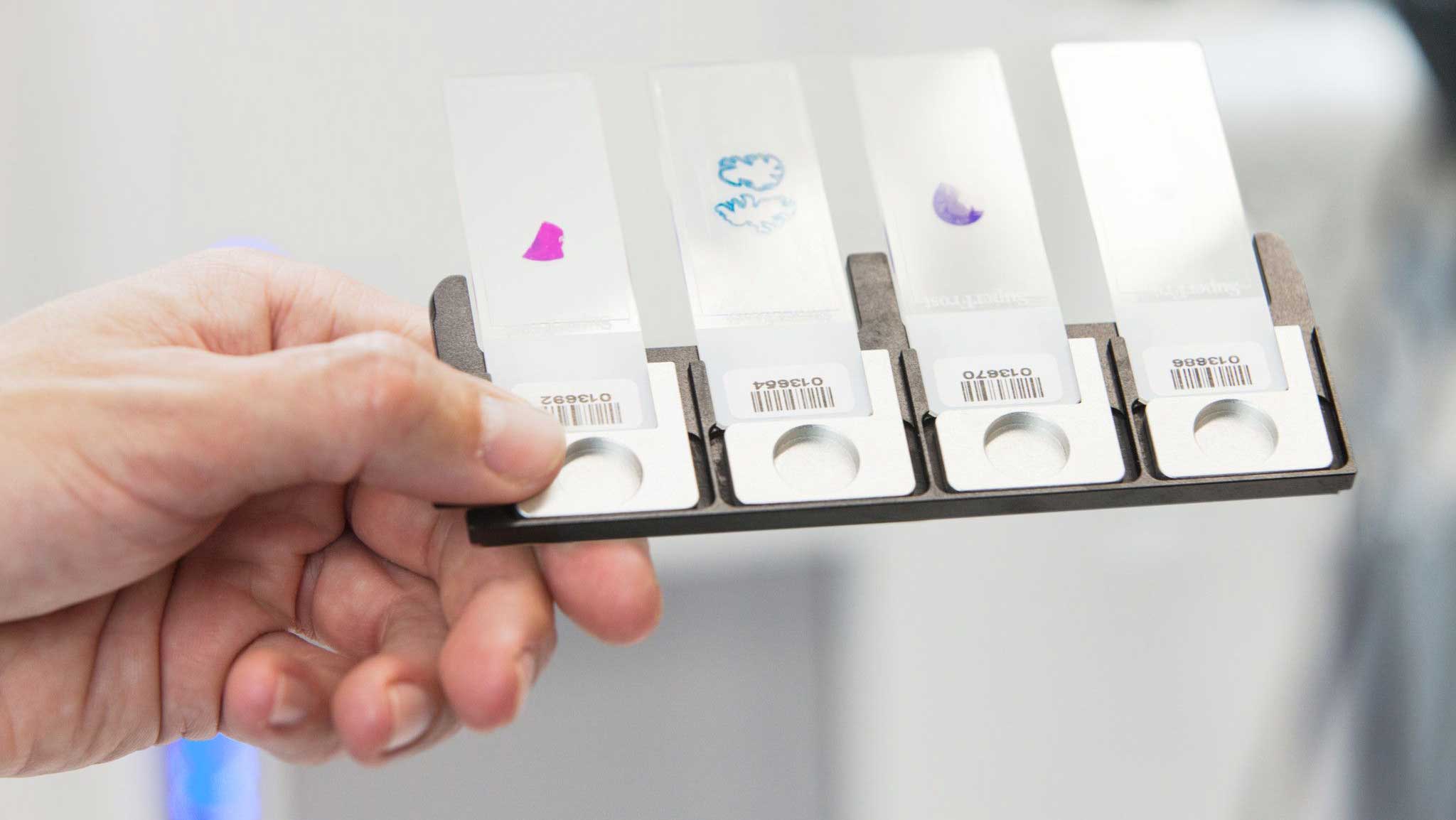 Microscopes for Remote Learning and Virtual Education