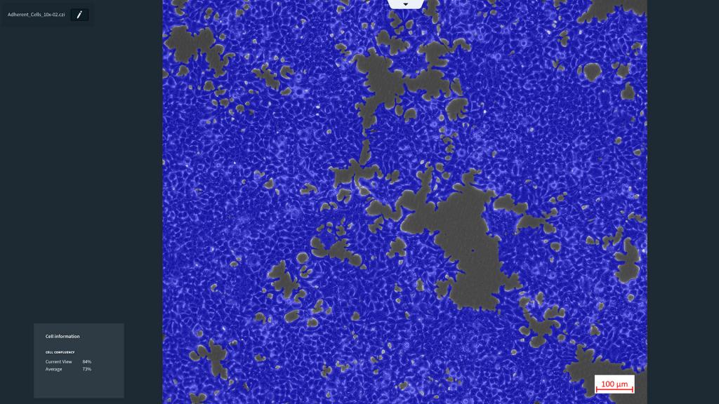 Zeiss Labscope Ai Cell Confluency And Ai Cell Counting