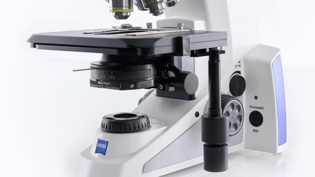 A Guide to Microscope Ergonomics