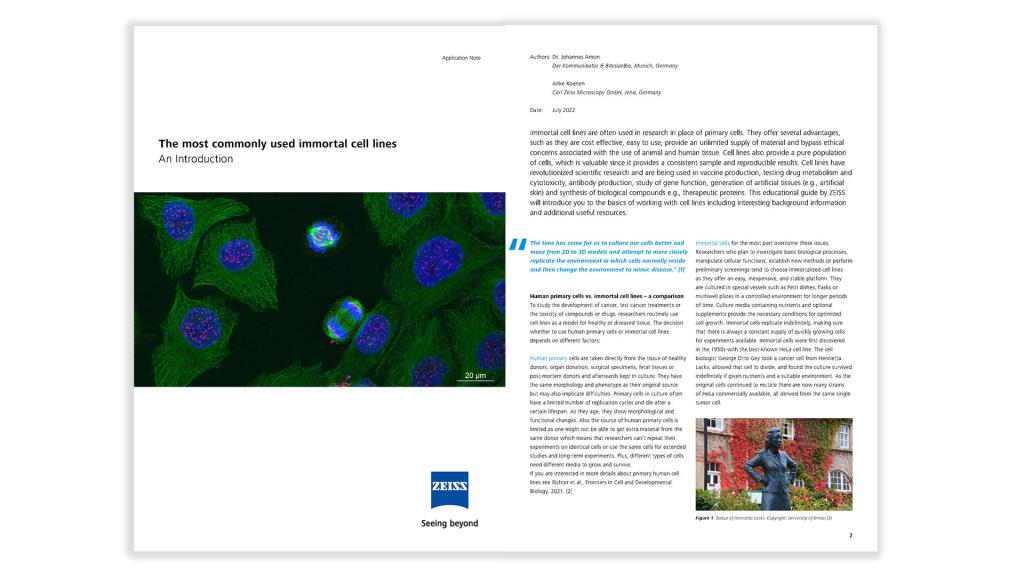 The Most Commonly Used Immortal Cell Lines | Application Note