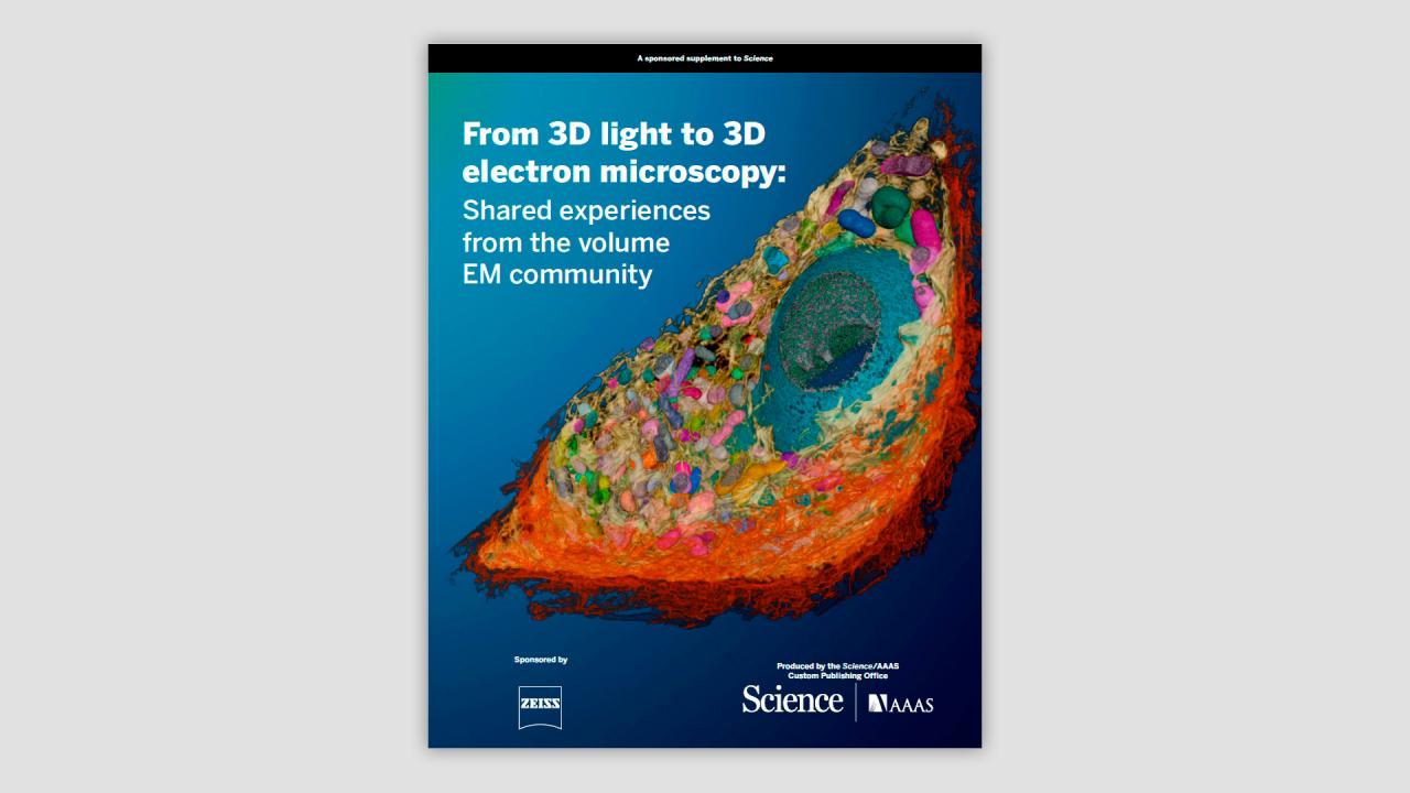 Cryo Fib Sem Application Examples