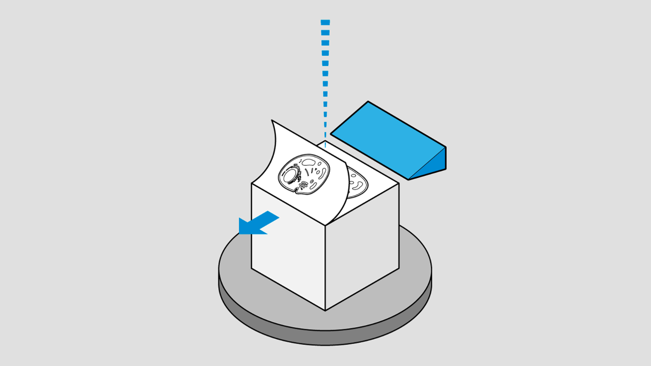 SEM con caras de bloque en serie | Ejemplos de aplicación