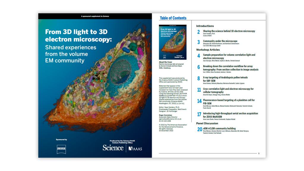 From 3D Light to 3D Electron Microscopy | Ebook