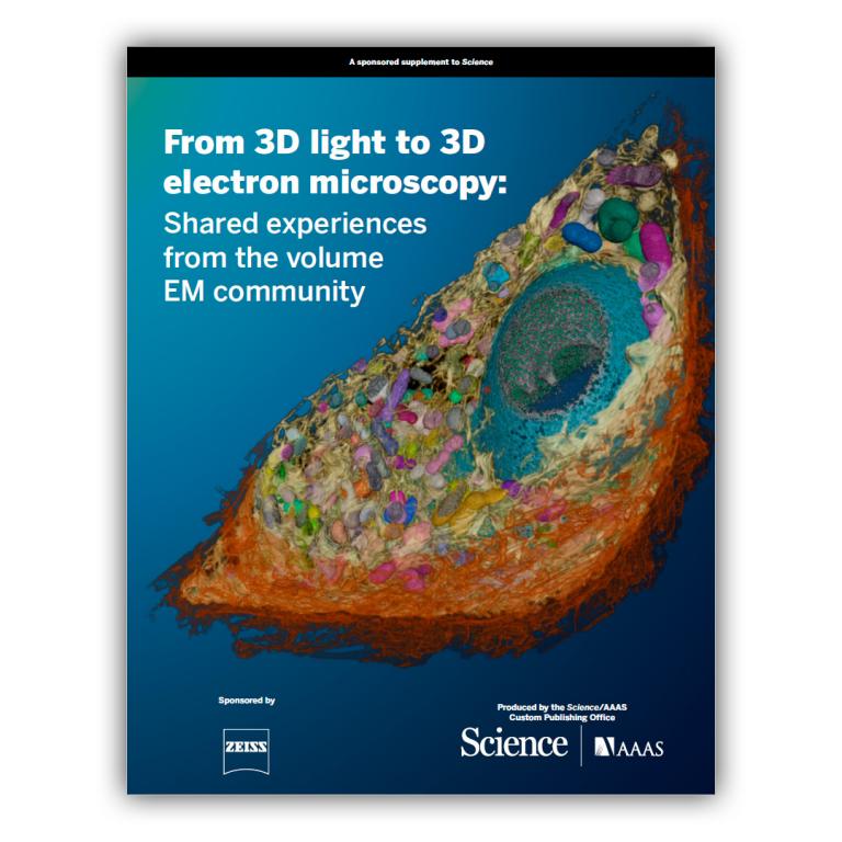 From 3D Light to 3D Electron Microscopy | Ebook