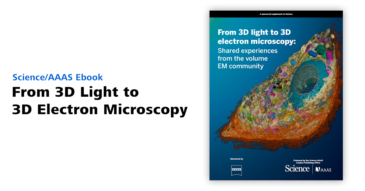 From 3D Light to 3D Electron Microscopy | Ebook