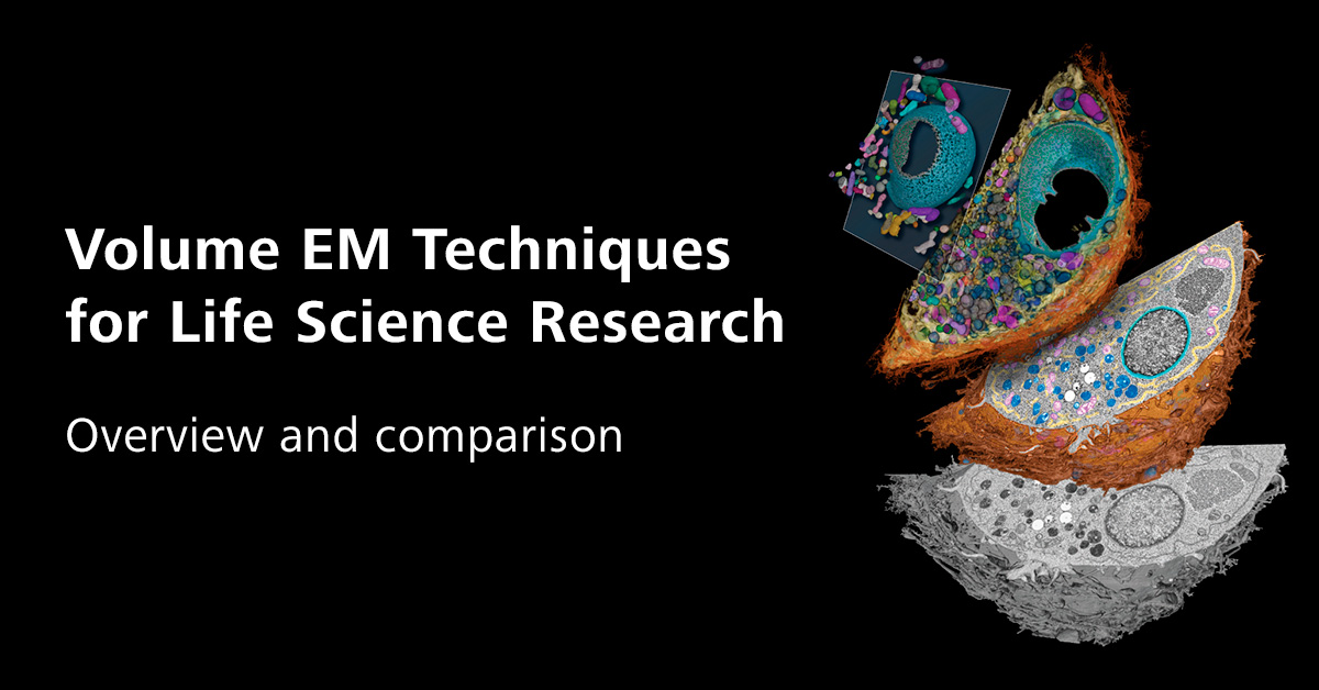 Volume EM Techniques for Life Science Research