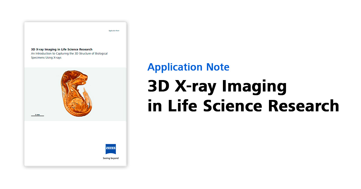 3D X-ray Imaging in Life Science Research | Application Note