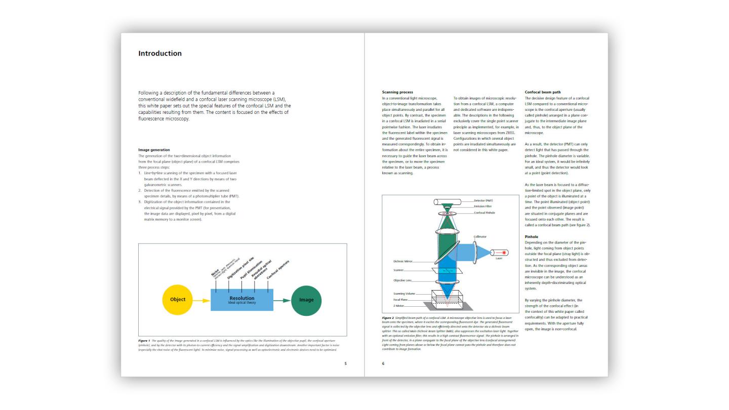 Basics of Confocal Laser Scanning Microscopy | White Paper