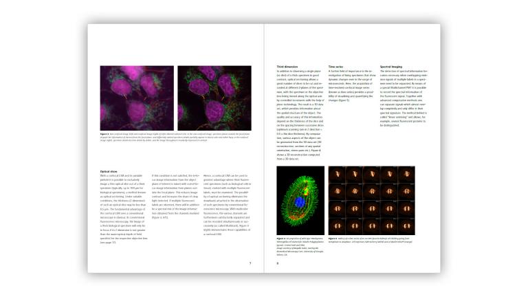 Basics of Confocal Laser Scanning Microscopy | White Paper