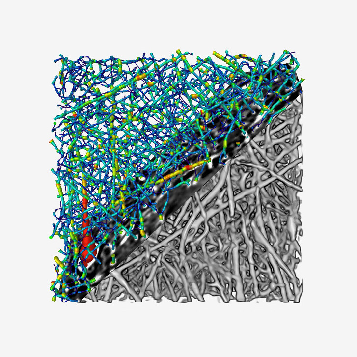 Characterize Biomaterials & Bio-Inspired Materials in 3D & 4D | ZEISS ...