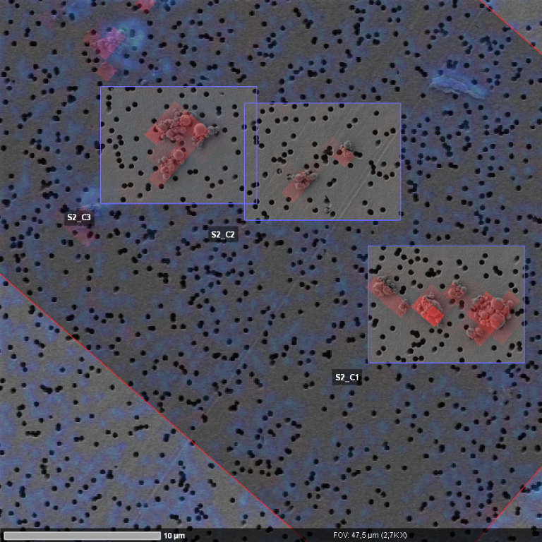 Analyze Microplastics and Nanoplastics | Imaging Solutions from ZEISS