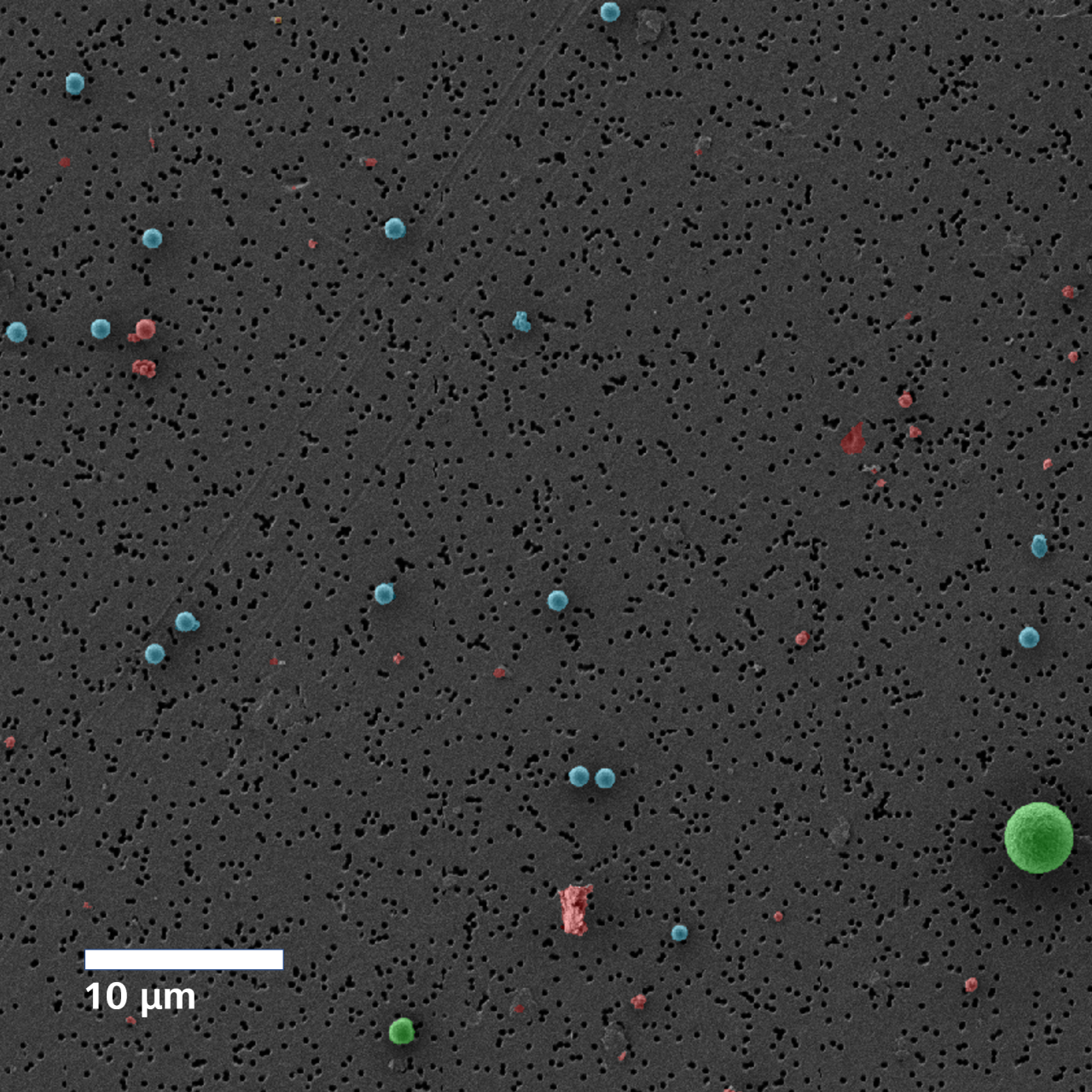Analyze Microplastics and Nanoplastics | Imaging Solutions from ZEISS