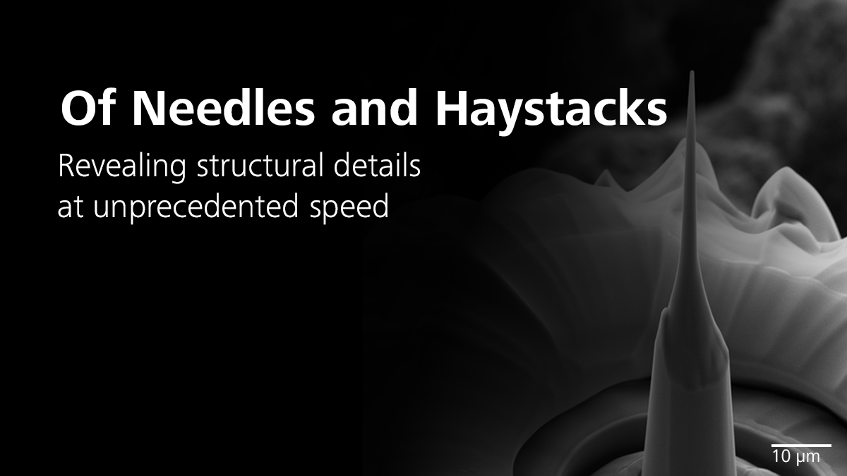 Of Needles and Haystacks