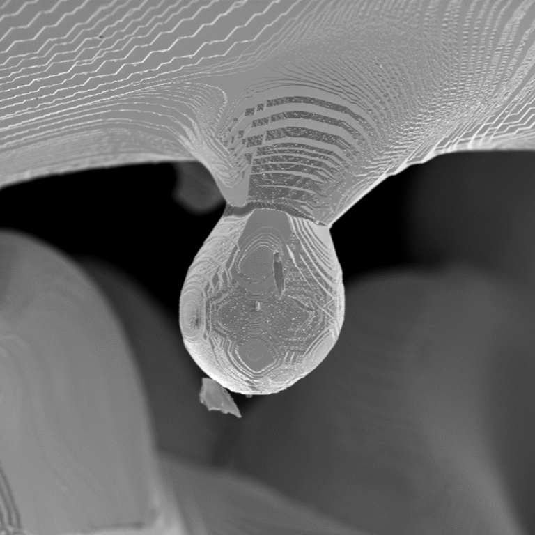 Catalysts & Coatings Solutionpage