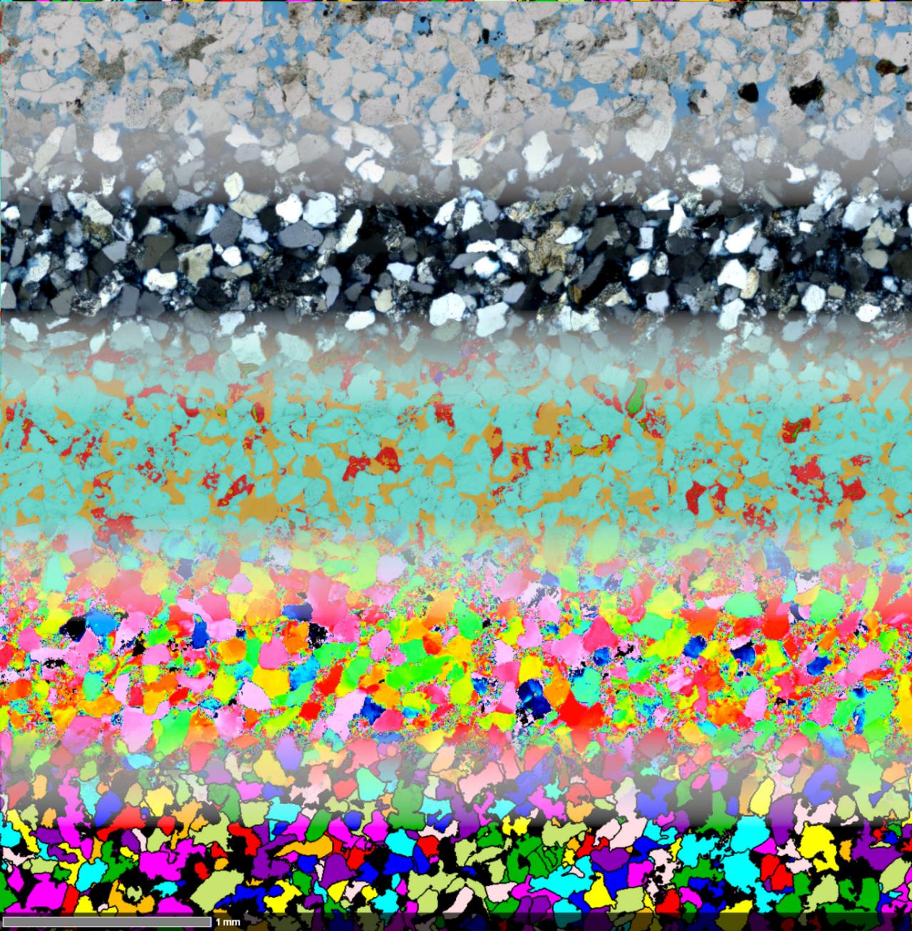 ZEISS digitaler Slide-Scanner Axioscan 7