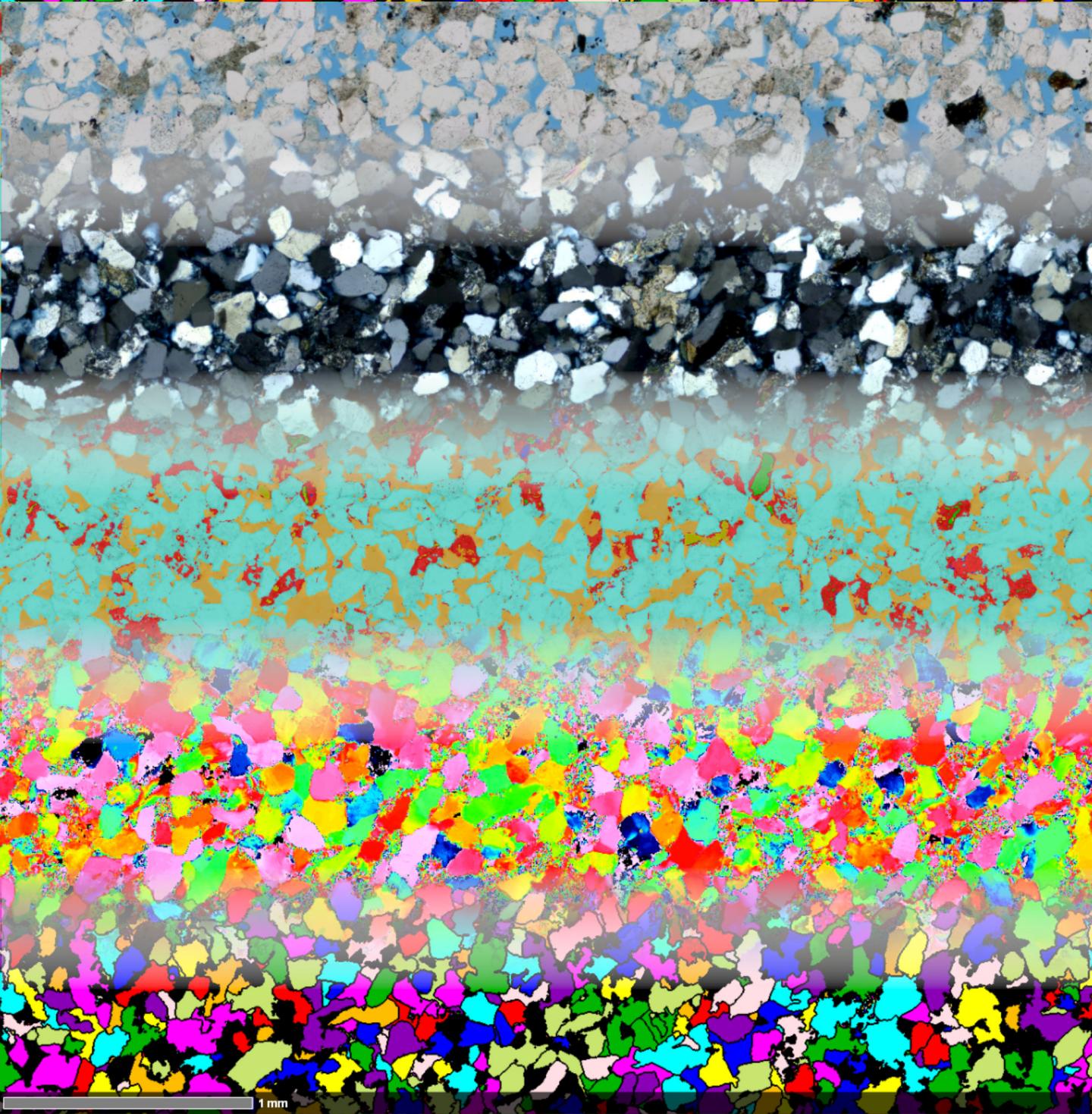 ZEISS Digital Slide Scanner Axioscan 7