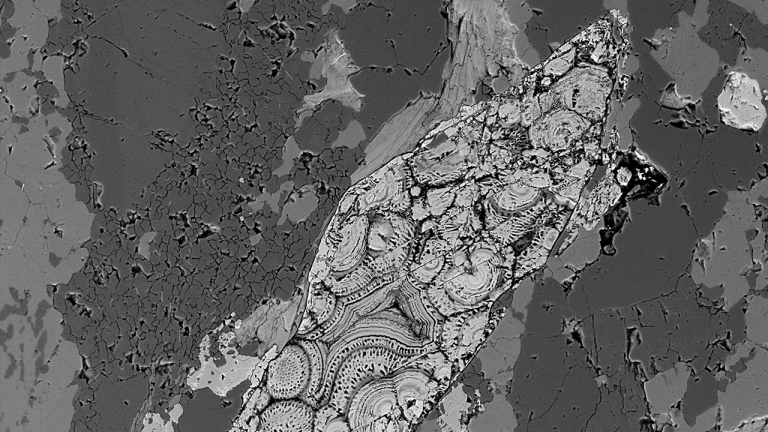 2022 ZEISS Microscopy Image Contest