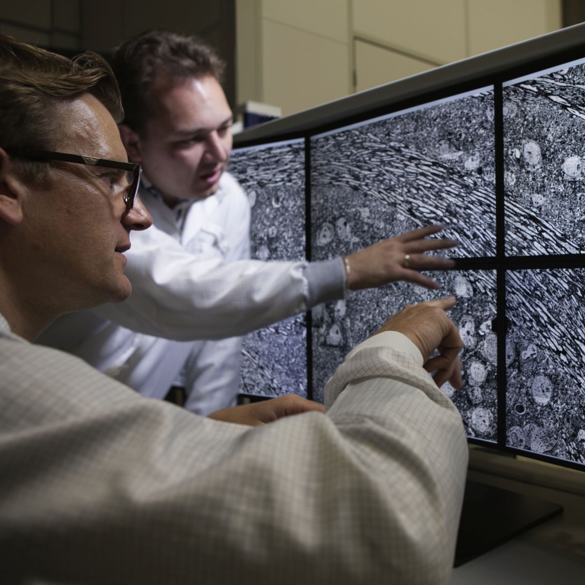 How do researchers change the world we live in?