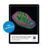 AI in Microscopy: Deep Learning for Image Analysis | ZEISS