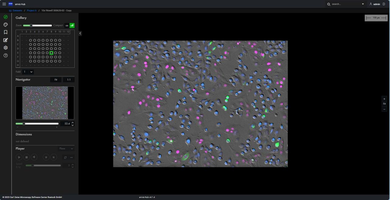 AI for High Content Analysis | ZEISS