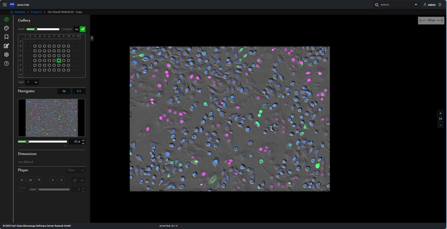 AI for High Content Analysis | ZEISS