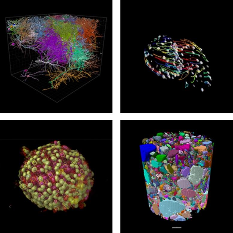 ZEISS arivis Cloud Free Trial