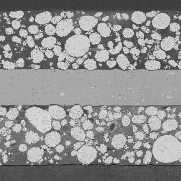 AI Microscopy Solutions | ZEISS