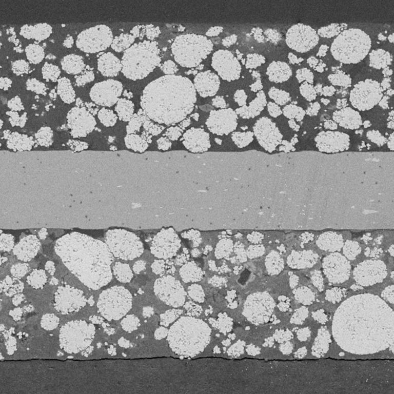 AI Microscopy Solutions | ZEISS