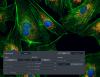 ZEISS Axiocam 203 mono - Your 3 MP microscope fluorescence camera