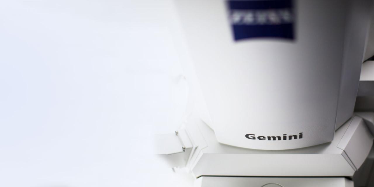 Crossbeam Family | ZEISS