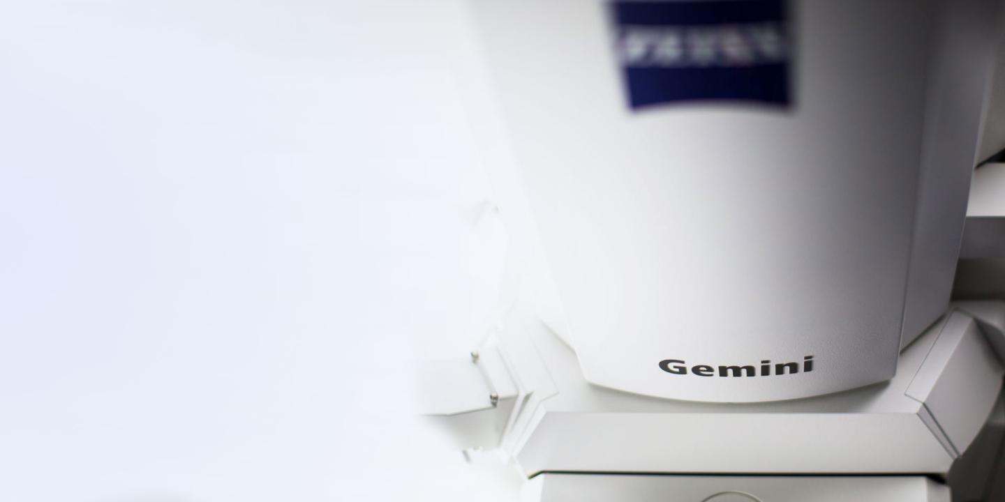 Crossbeam Family | ZEISS