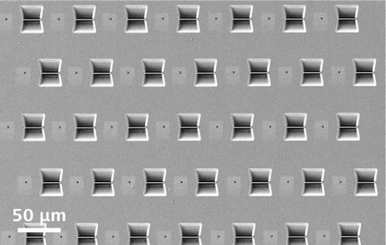 Crossbeam Family | ZEISS