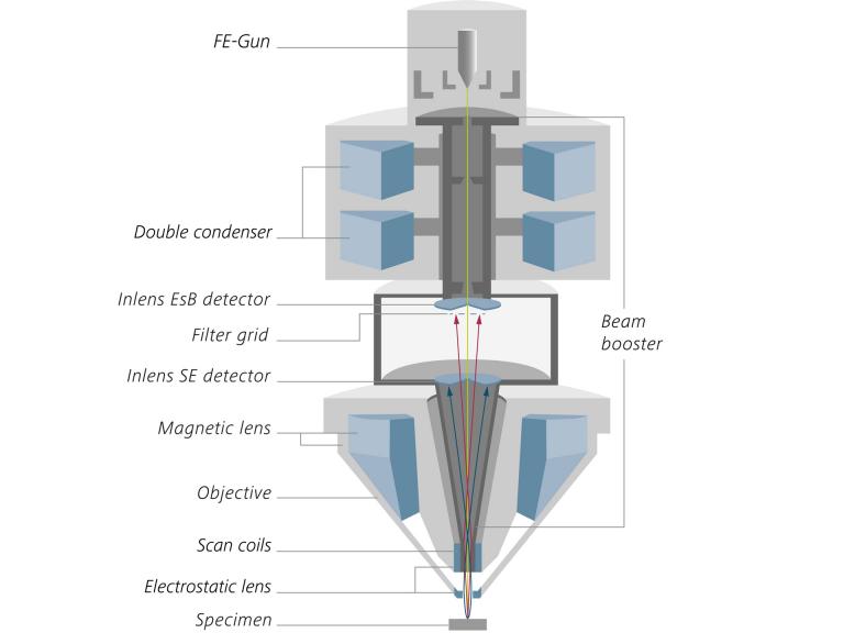 Crossbeam Family | ZEISS
