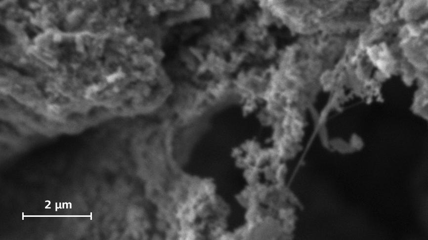 Microscopio electrónico de barrido ZEISS EVO