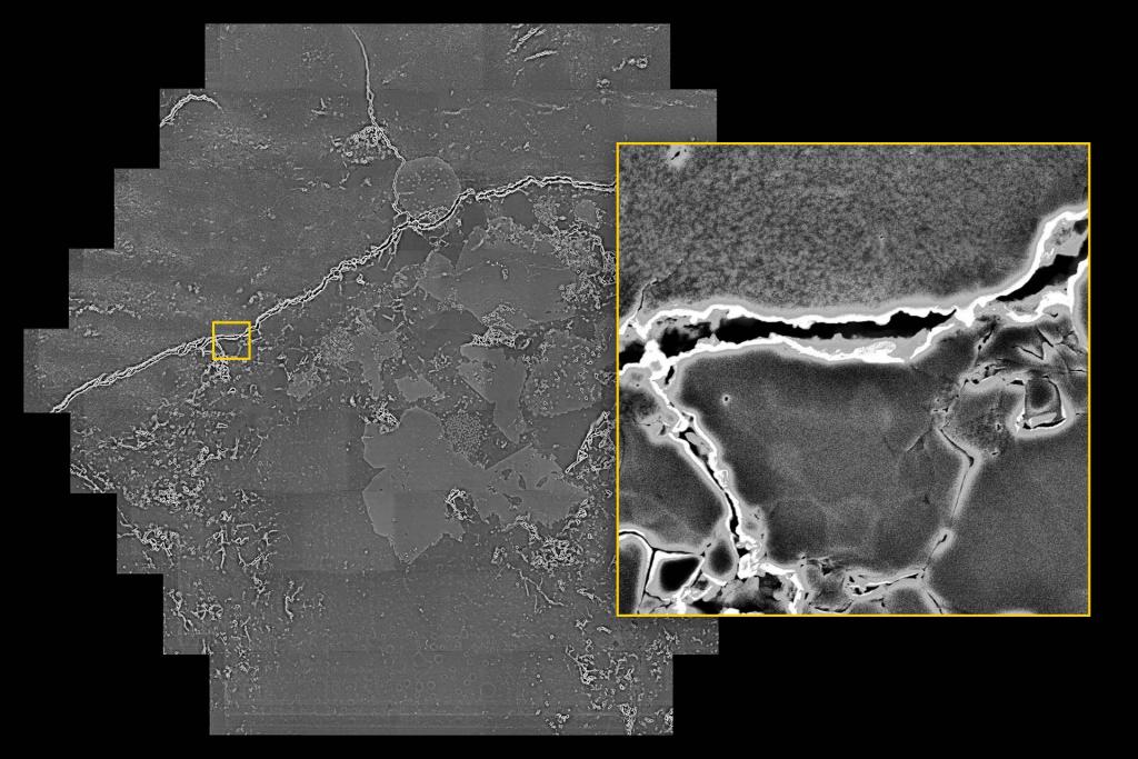 ZEISS MultiSEM: The World’s Fastest Scanning Electron Microscope