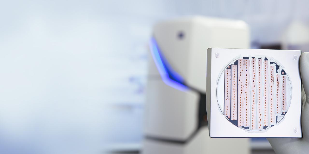 ZEISS MultiSEM: The World’s Fastest Scanning Electron Microscope