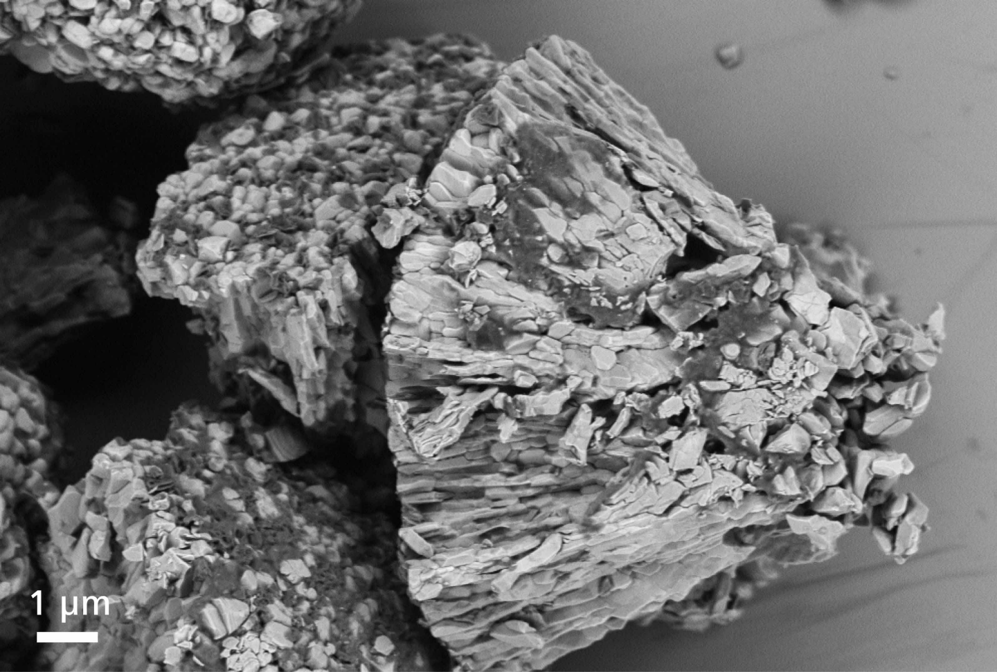 ZEISS Sigma - Family Field Emission SEM