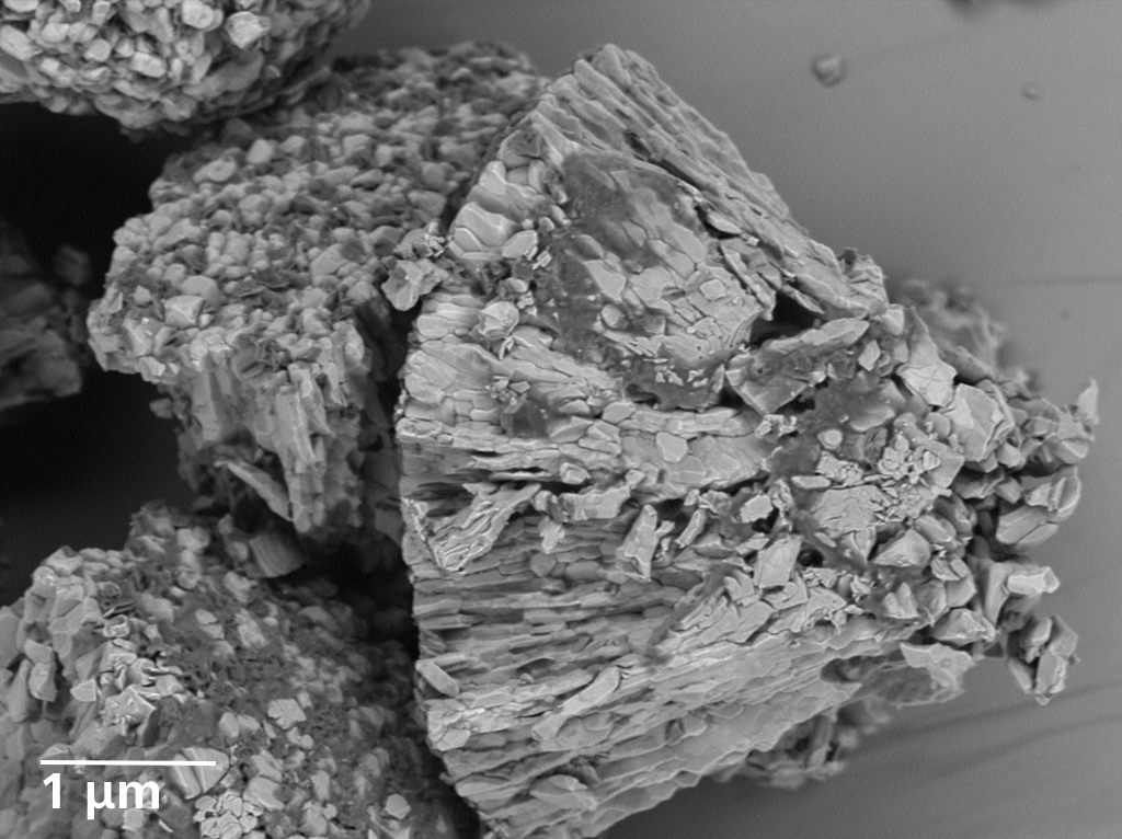 Electron Microscopy in Sciences