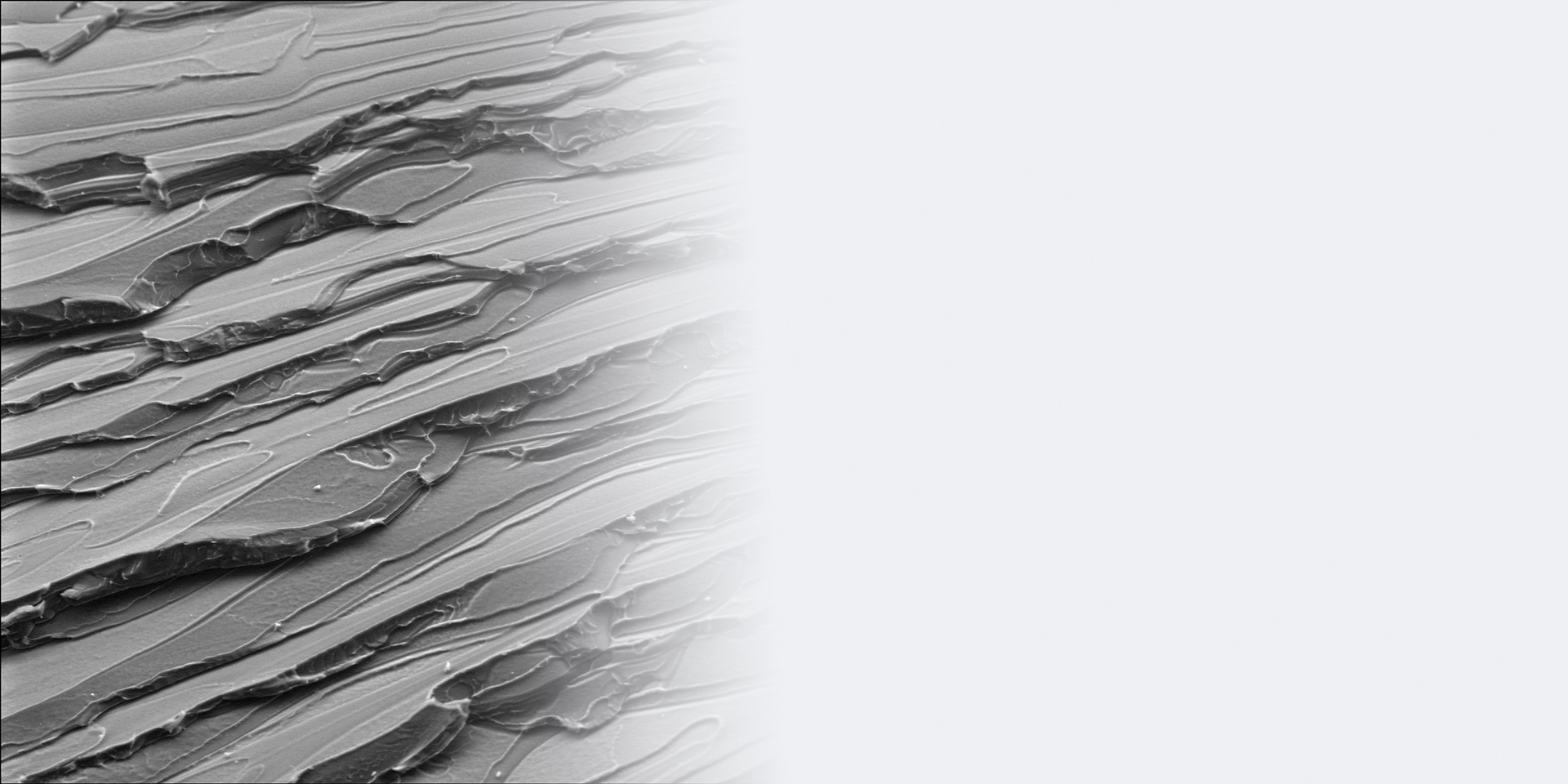 ZEISS Sigma - Family Field Emission SEM