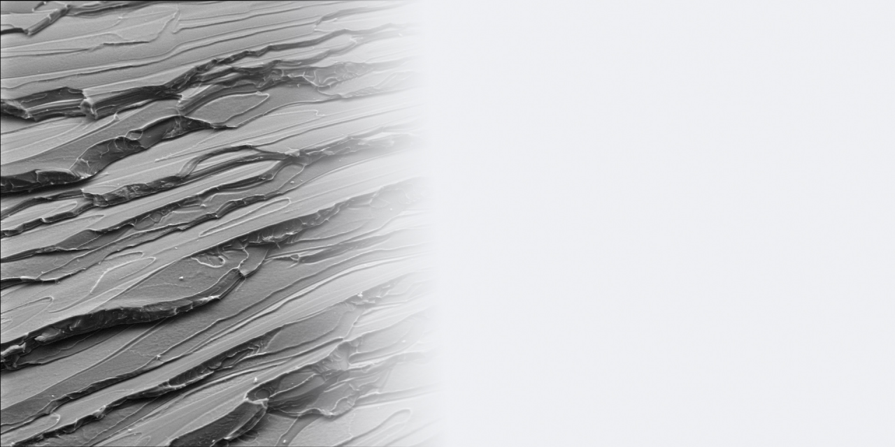 ZEISS Sigma - Family Field Emission SEM