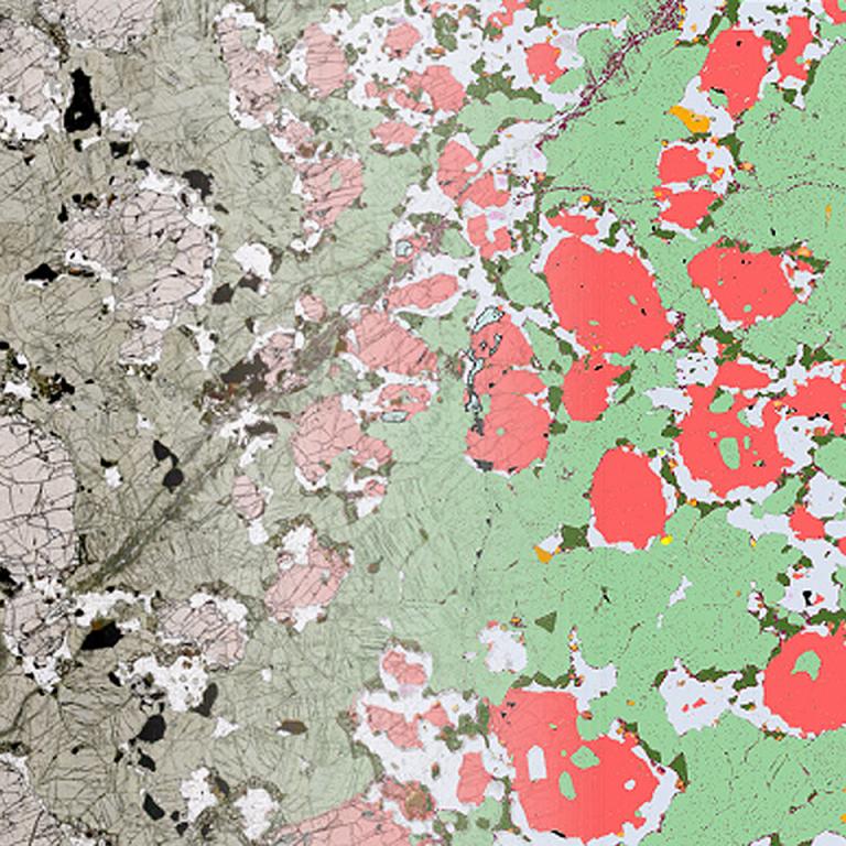 ZEISS Digital Slide Scanner Axioscan 7