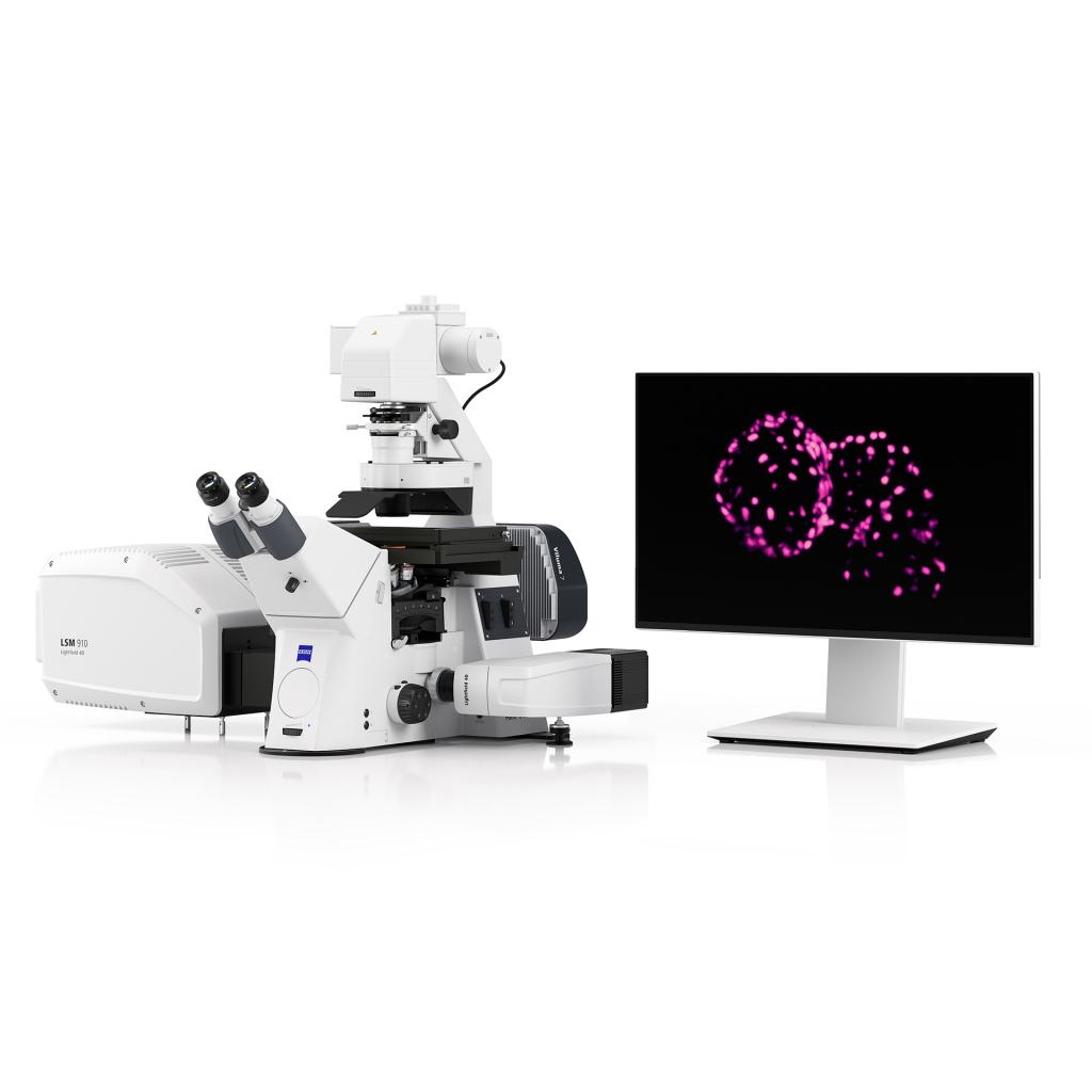 ZEISS LSM 990 | Confocal microscope for top-class multimodal imaging