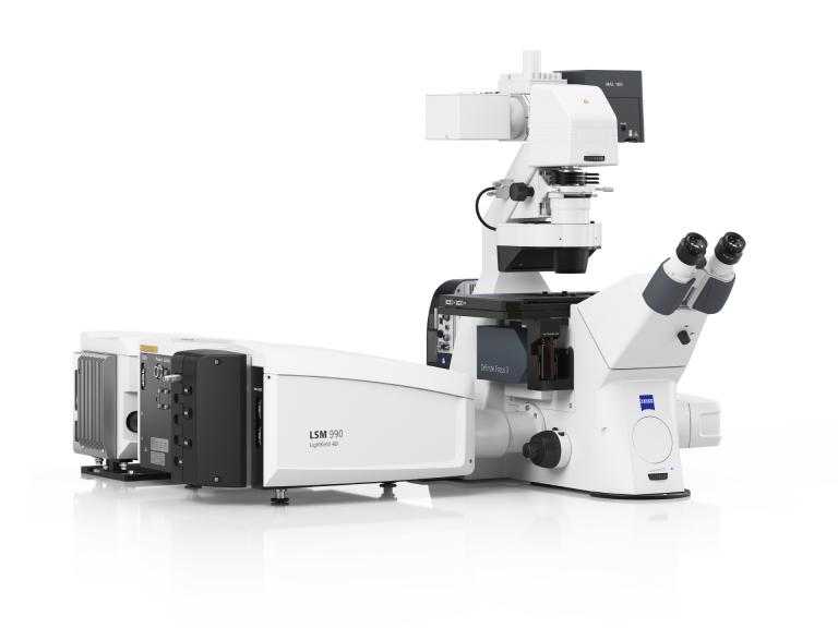 ZEISS LSM Spectral Multiplex | Multi-fluorescence imaging