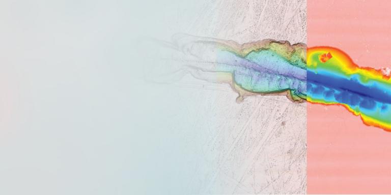 ZEISS LSM 900 - Confocal for Materials Research