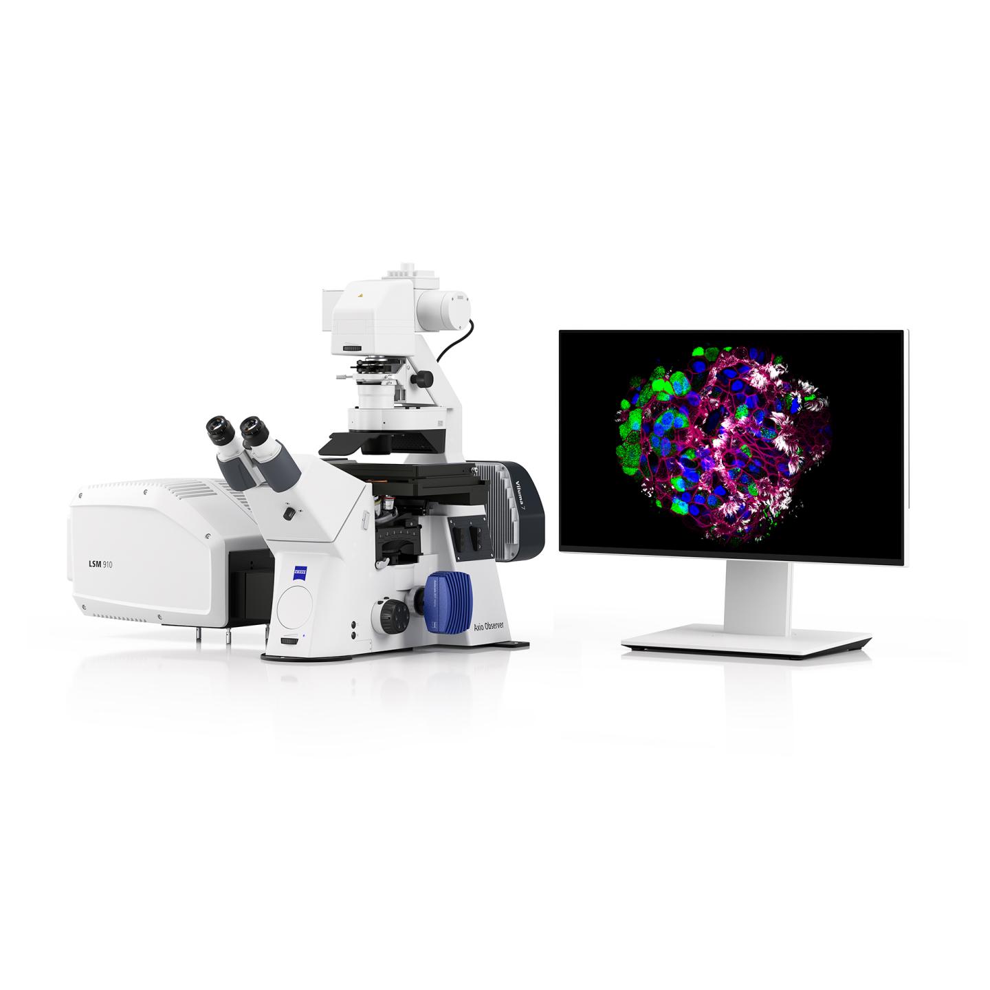 ZEISS LSM 990 | Confocal microscope for top-class multimodal imaging