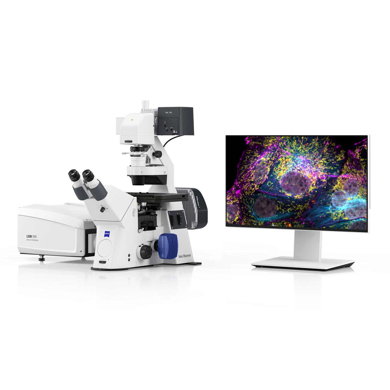 ZEISS LSM 990 | Confocal microscope for top-class multimodal imaging