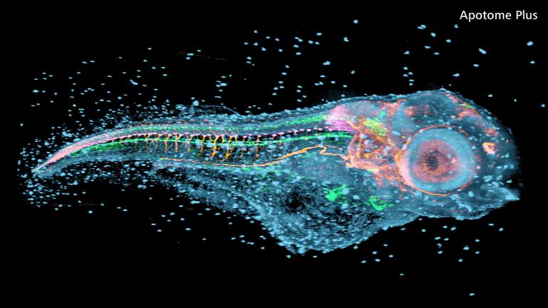 Logiciel de microscopie ZEISS ZEN