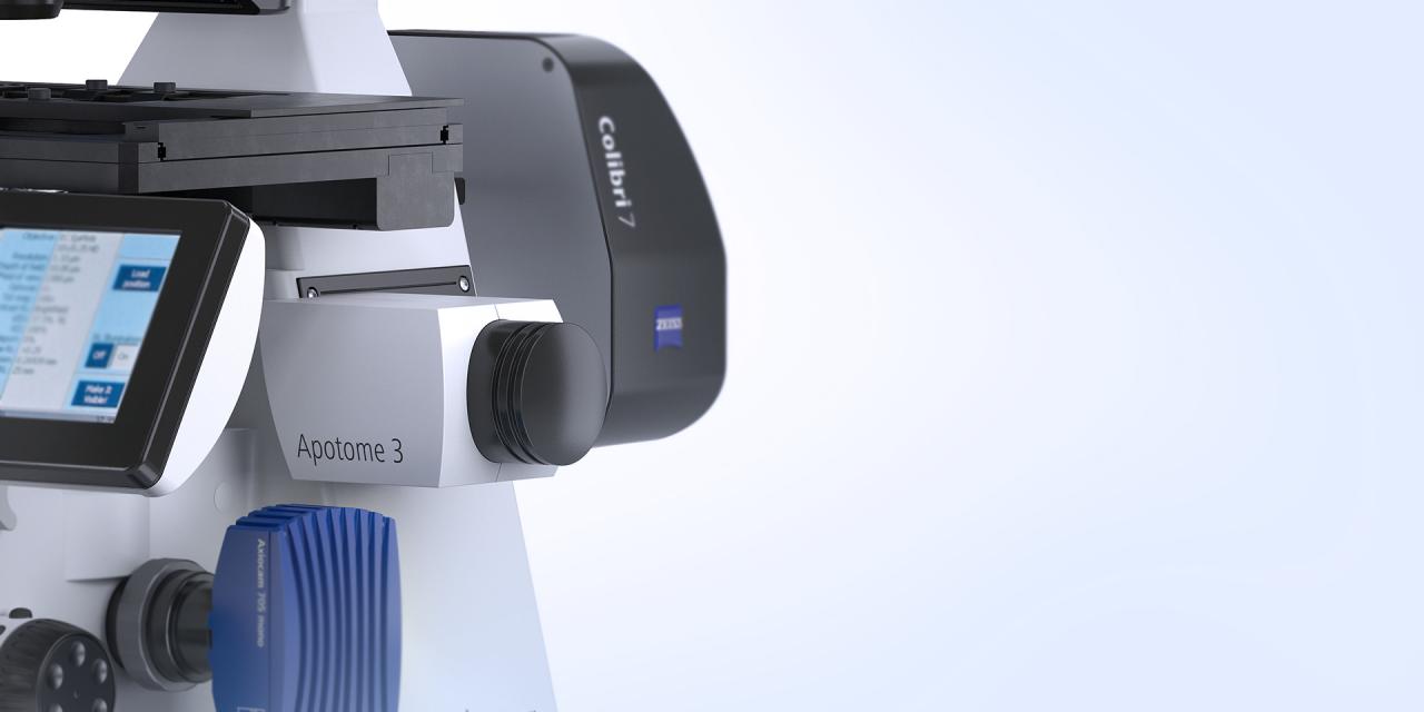 ZEISS Apotome 3: Optical sectioning in fluorescence imaging for ...