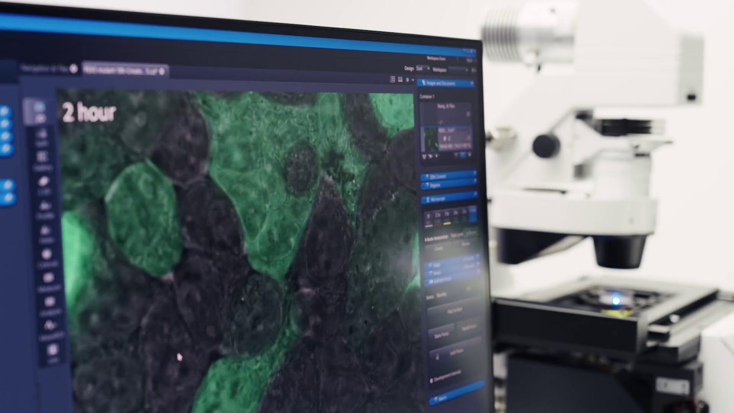 Autoimmersion Module for ZEISS Axio Observer 7